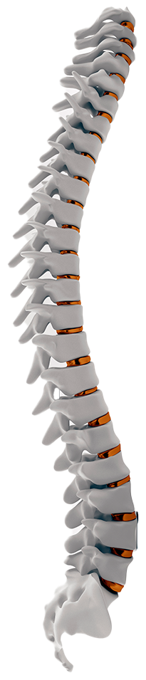 Wasilla Chiropractor | Chiropractic Wasilla Alaska | Dr. Fuller